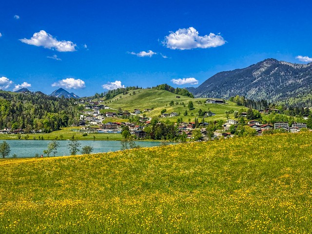 Spring meadow with lake Thiersee and mountain landscape in Tyrol, Austria